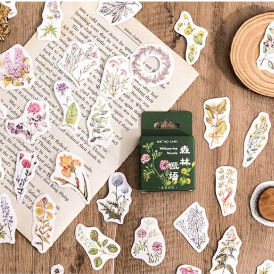 Cajita de 45 Stickers "Whispering Woods" – Bitácoras Papelería